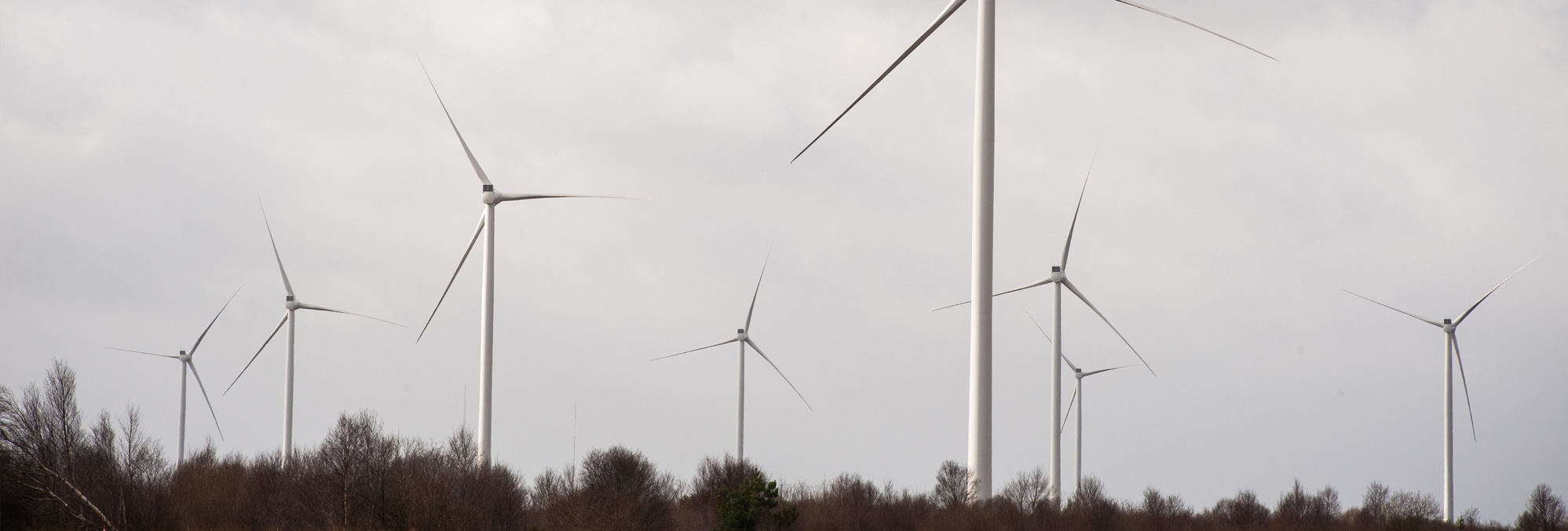 About Us | Derrinlough Wind Farm